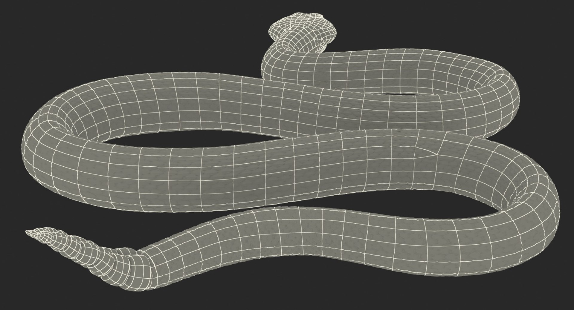 Light rattlesnake crawling pose 3D model - TurboSquid 1398422