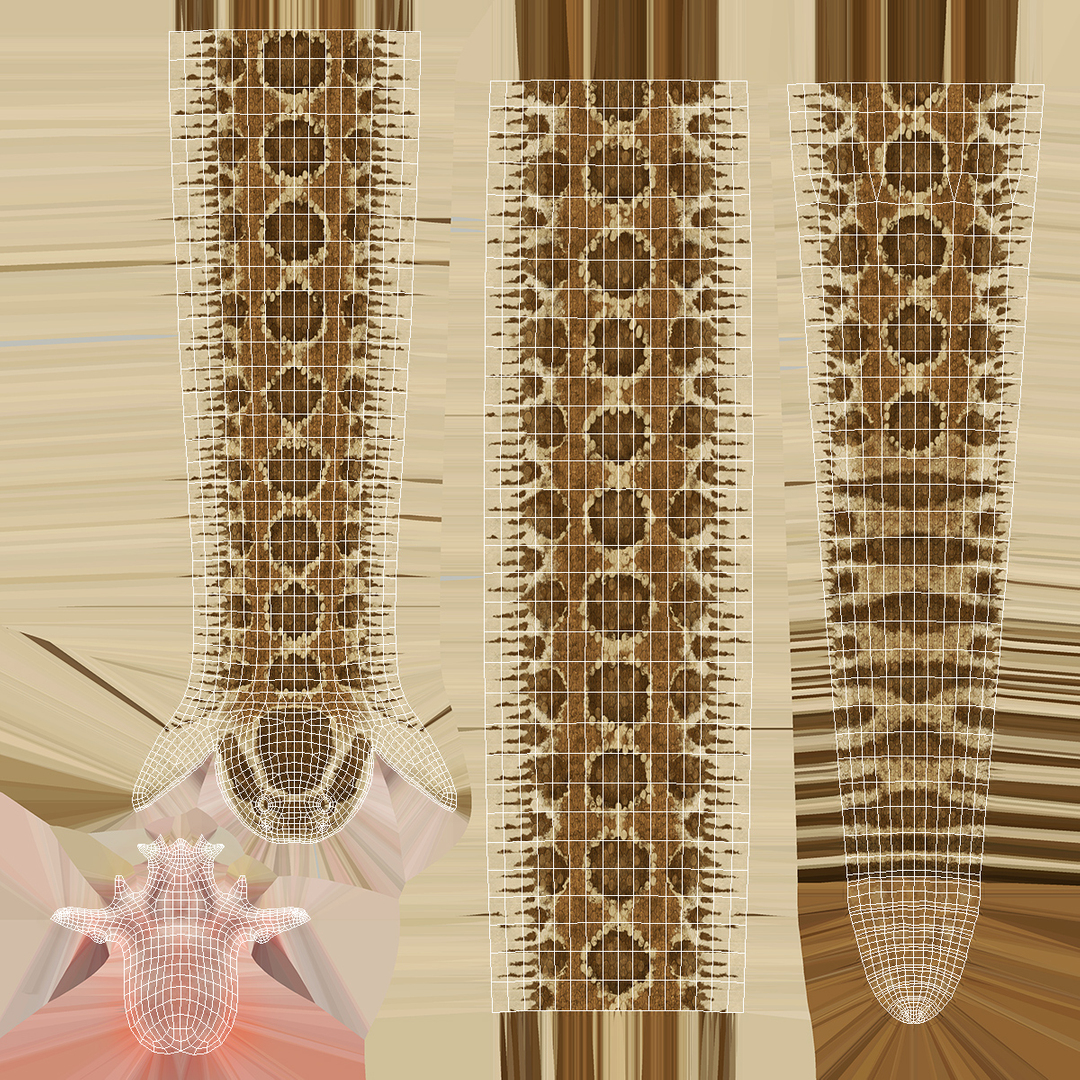 Light rattlesnake crawling pose 3D model - TurboSquid 1398422