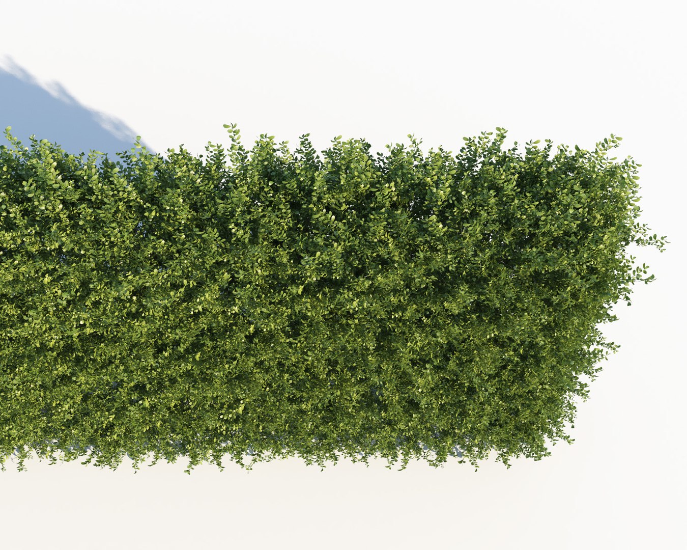 3d Vertical Hedge Multiscatter Model