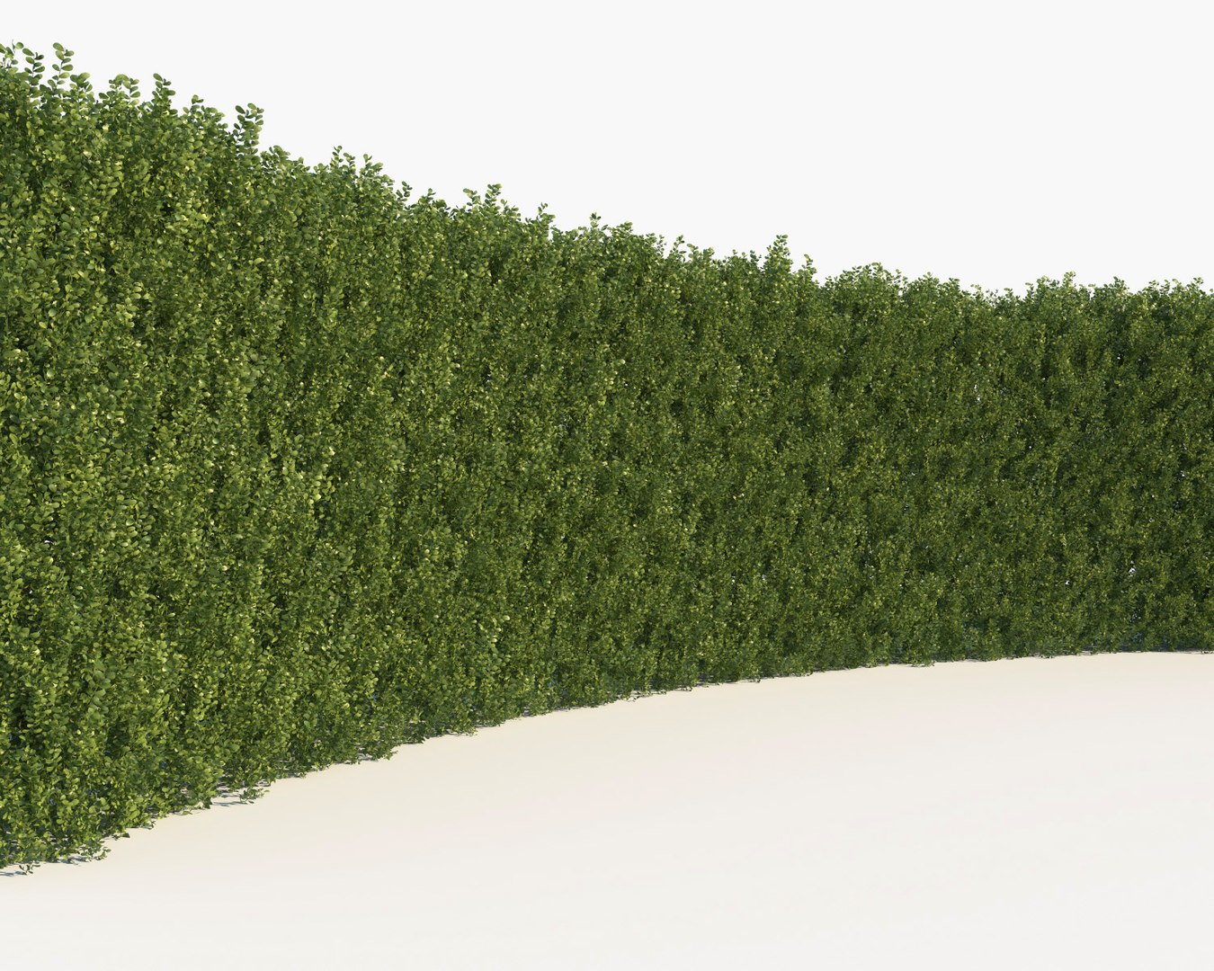 3d Vertical Hedge Multiscatter Model