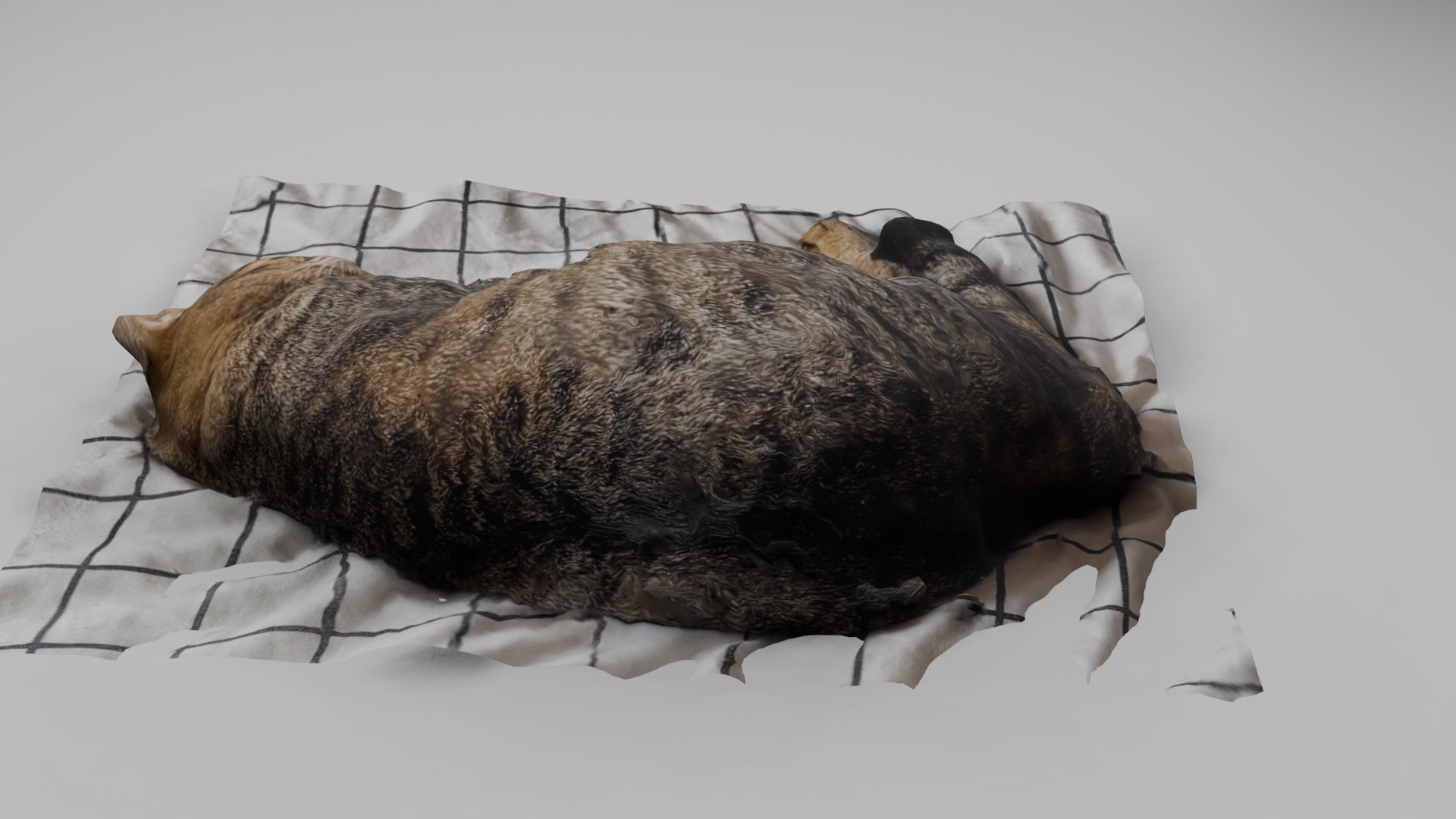 Cat 1 3D - TurboSquid 2340679