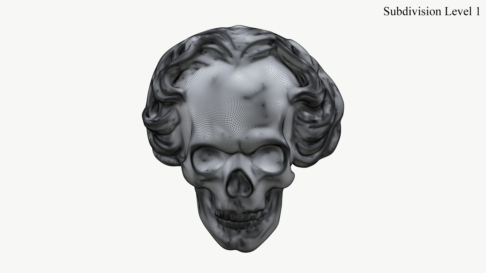 3D Skull 28 Textured Model - TurboSquid 2308662