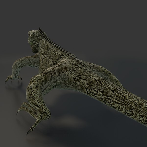 3d model of iguana resolution ready