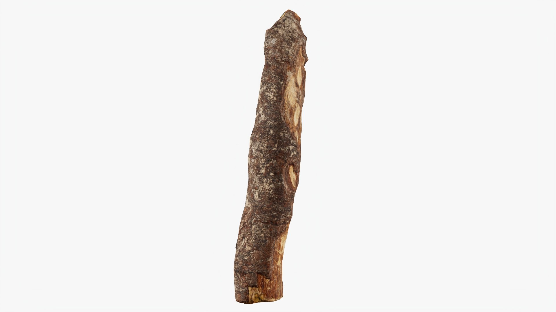 3D Model Scanned Tree Wood 04 - TurboSquid 2414073
