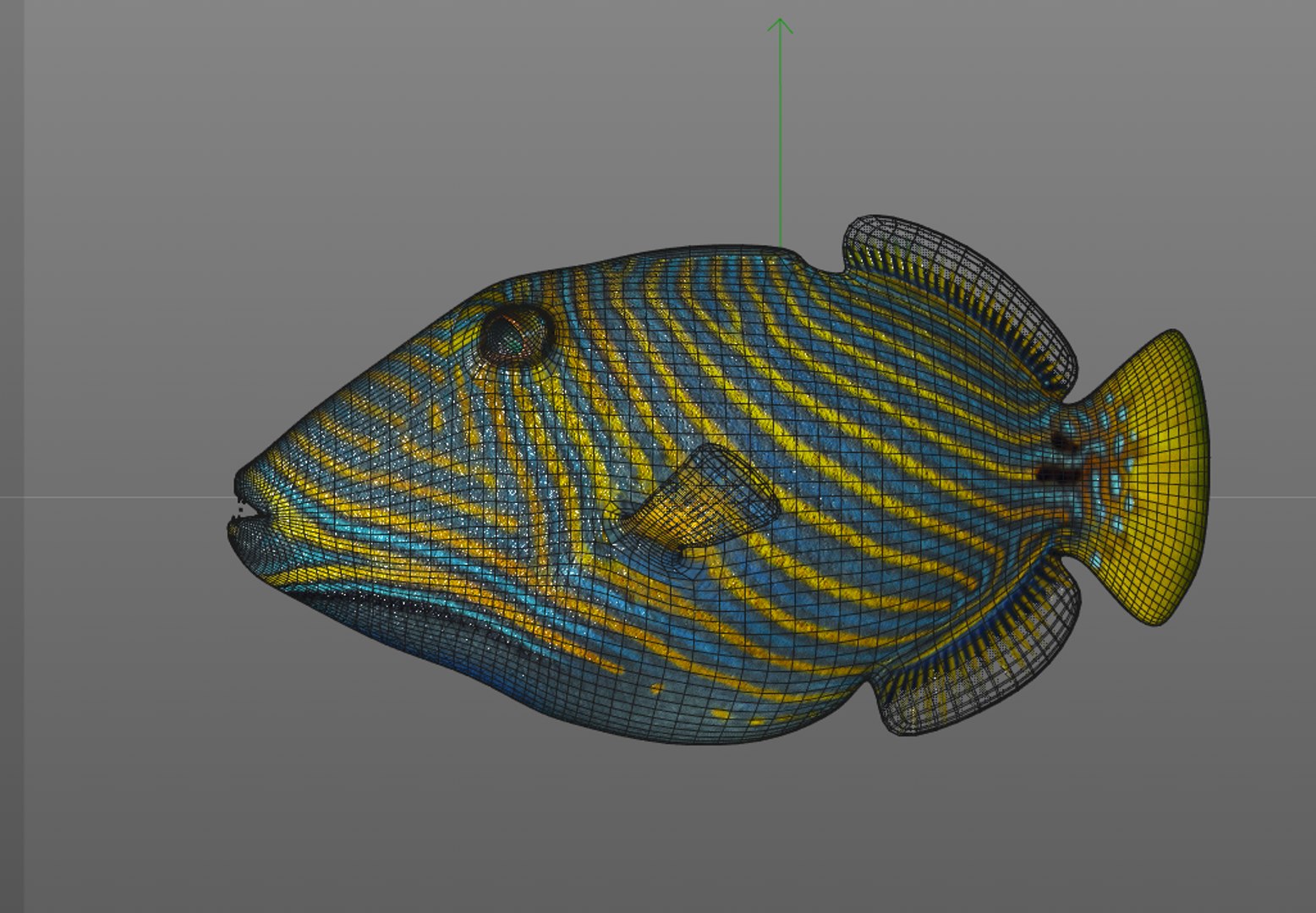 3D Model Fish - TurboSquid 1551917