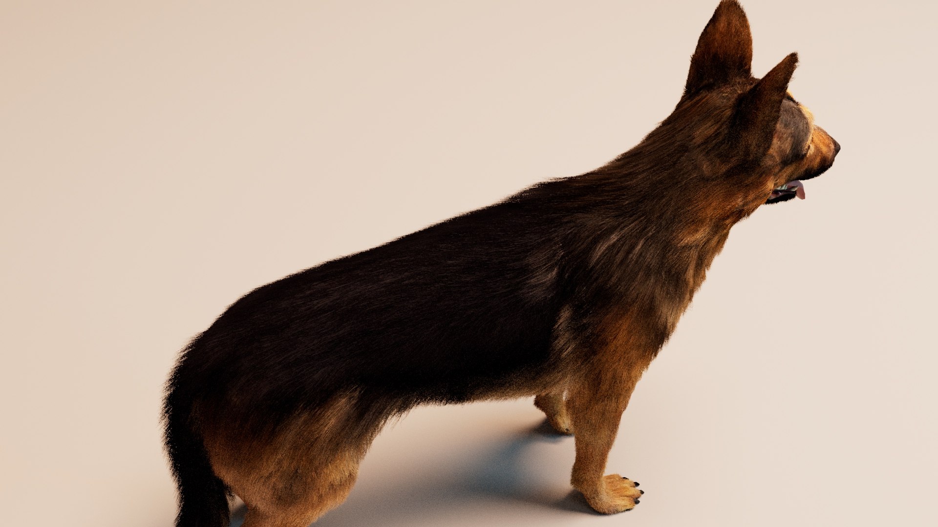 German Shepherd Dynamic Fur Ears Tail 3D Model - TurboSquid 2195698