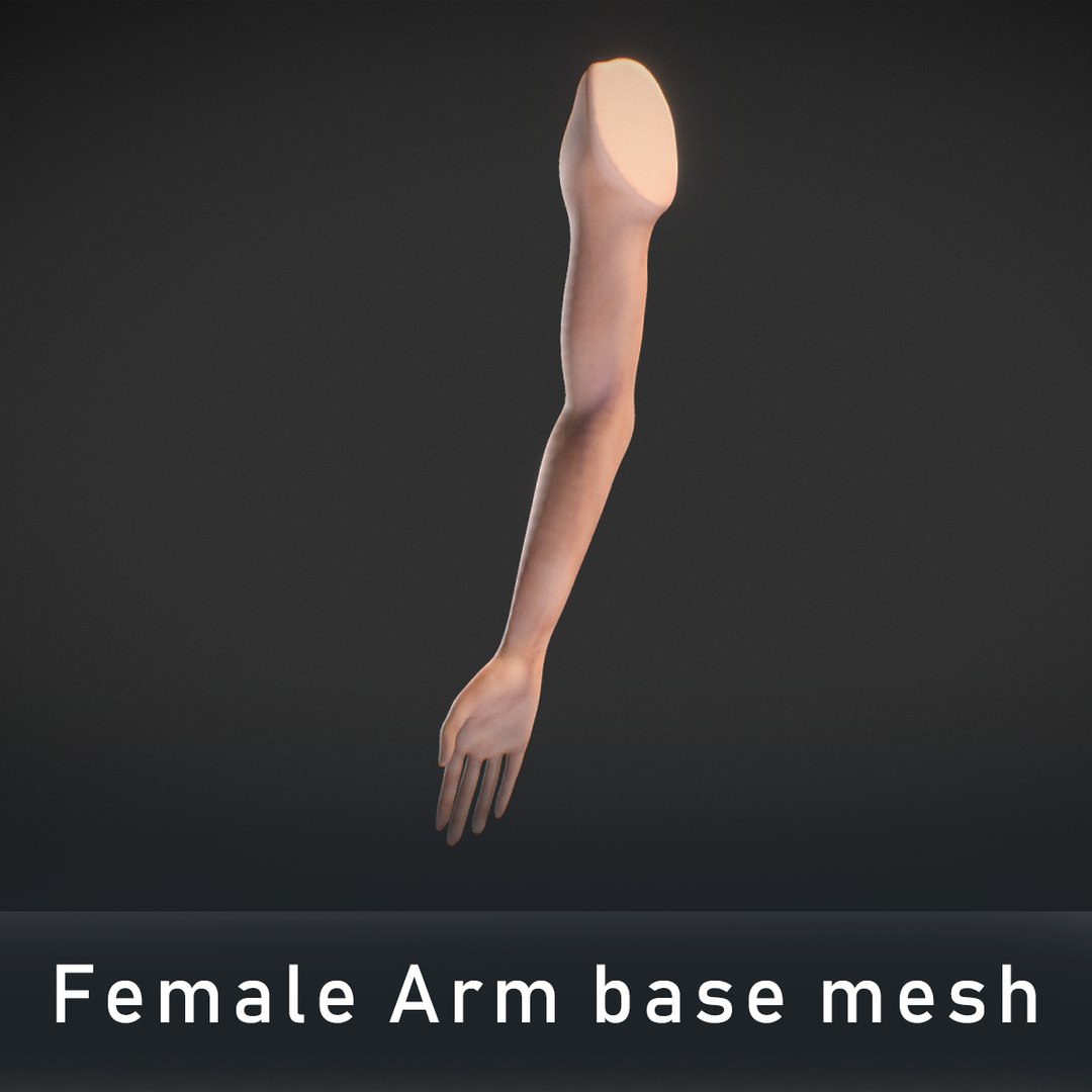 3D Female Arm Base Mesh - TurboSquid 1843580