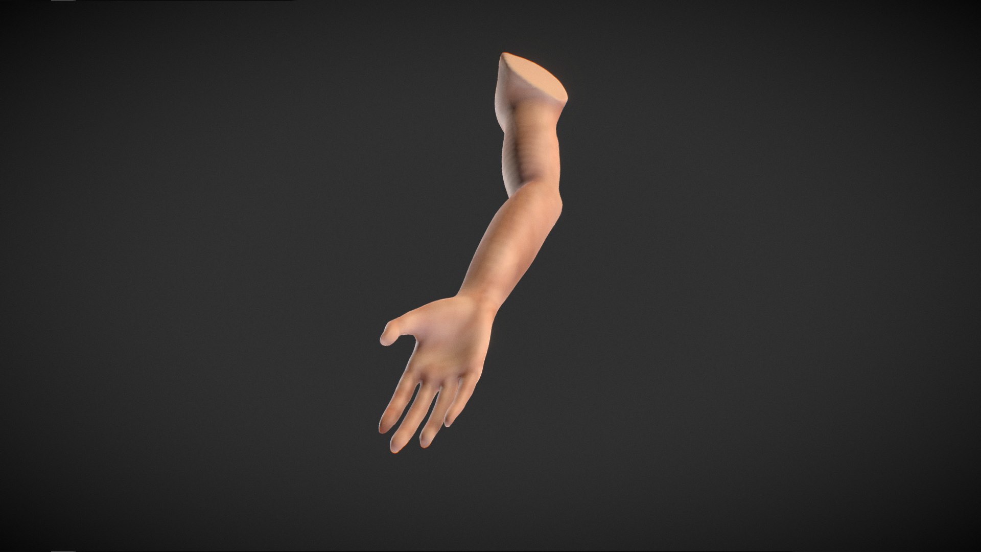 3D Female Arm Base Mesh - TurboSquid 1843580