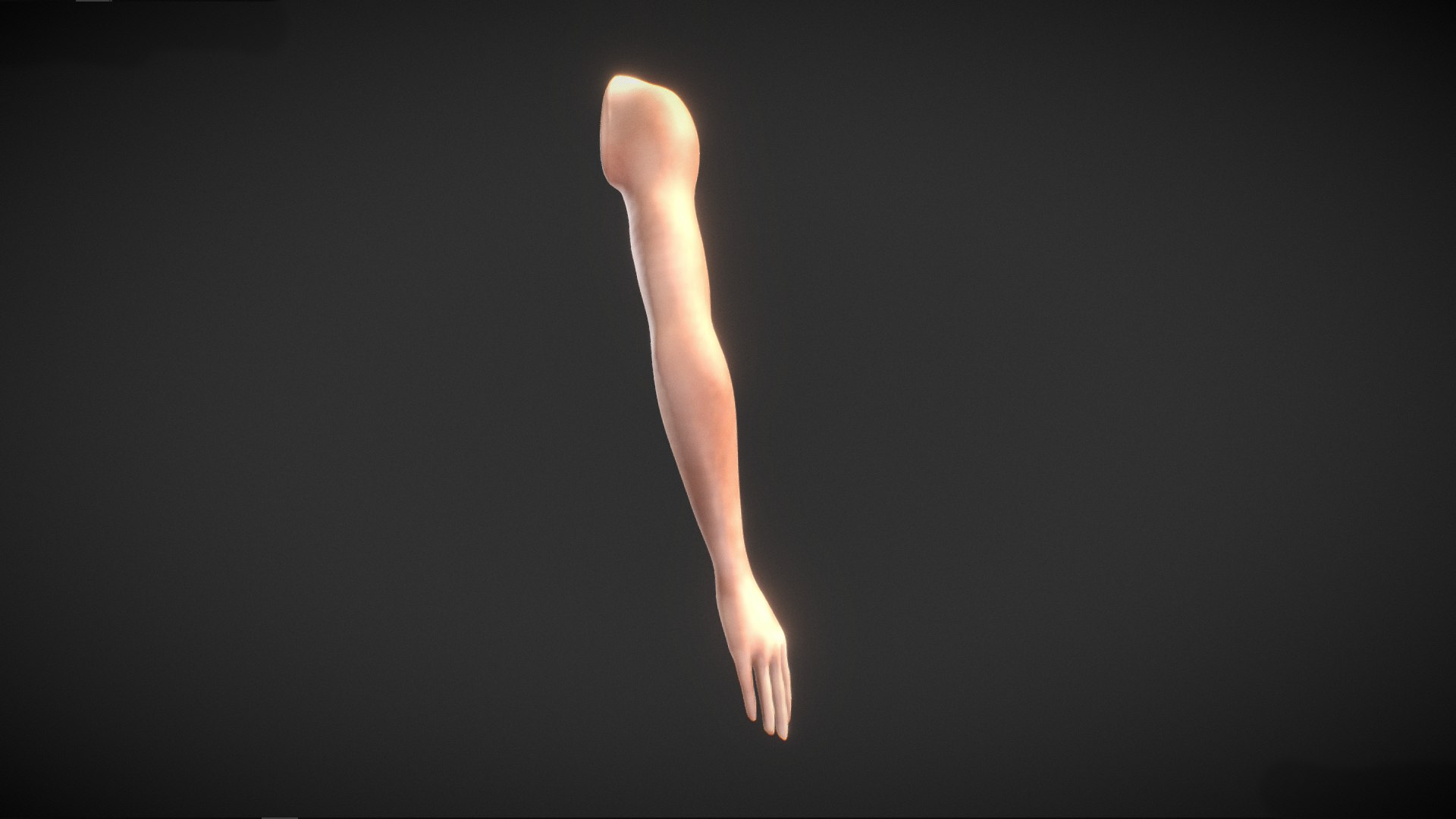 3D Female Arm Base Mesh - TurboSquid 1843580