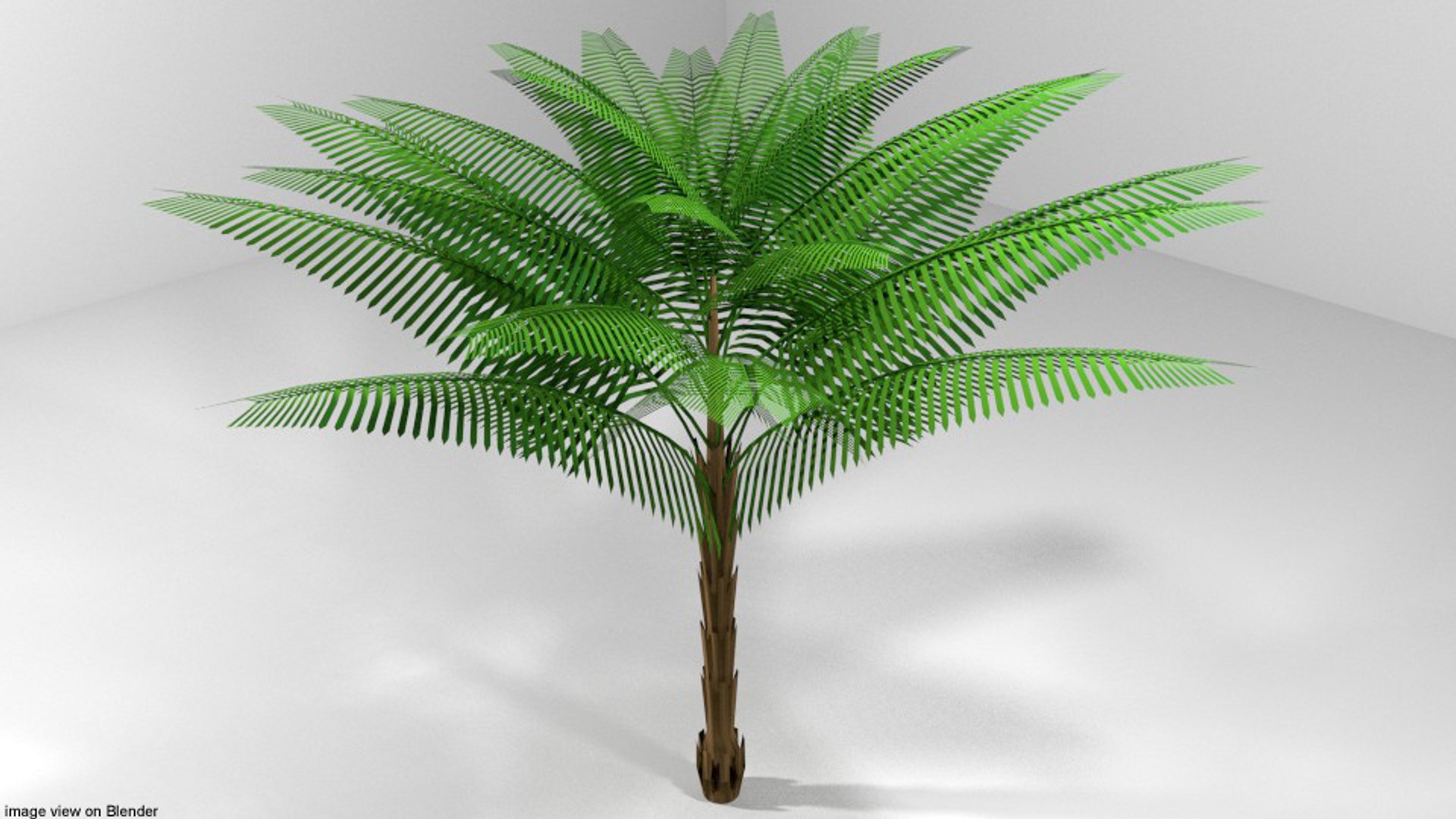 Date Palm Tree 3D Model - TurboSquid 1204383