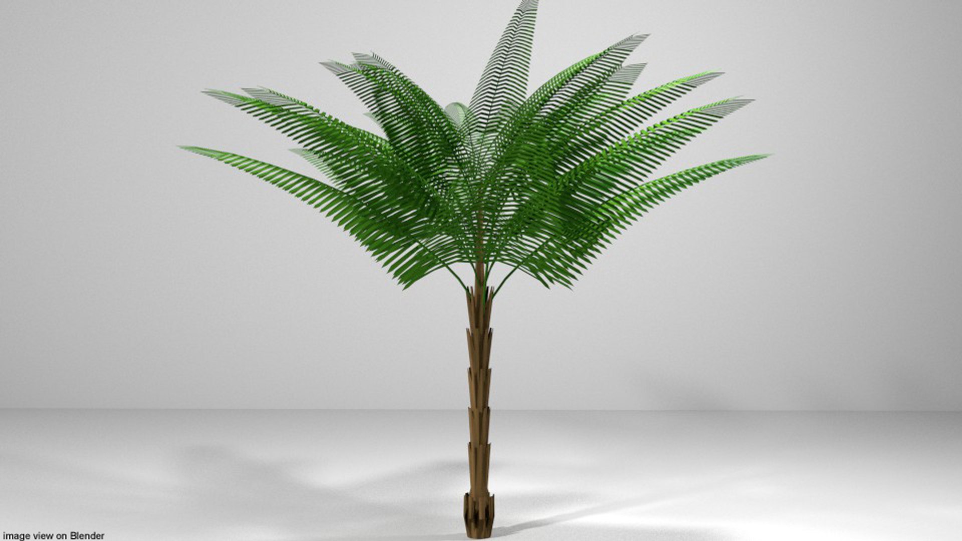 Date Palm Tree 3D Model - TurboSquid 1204383