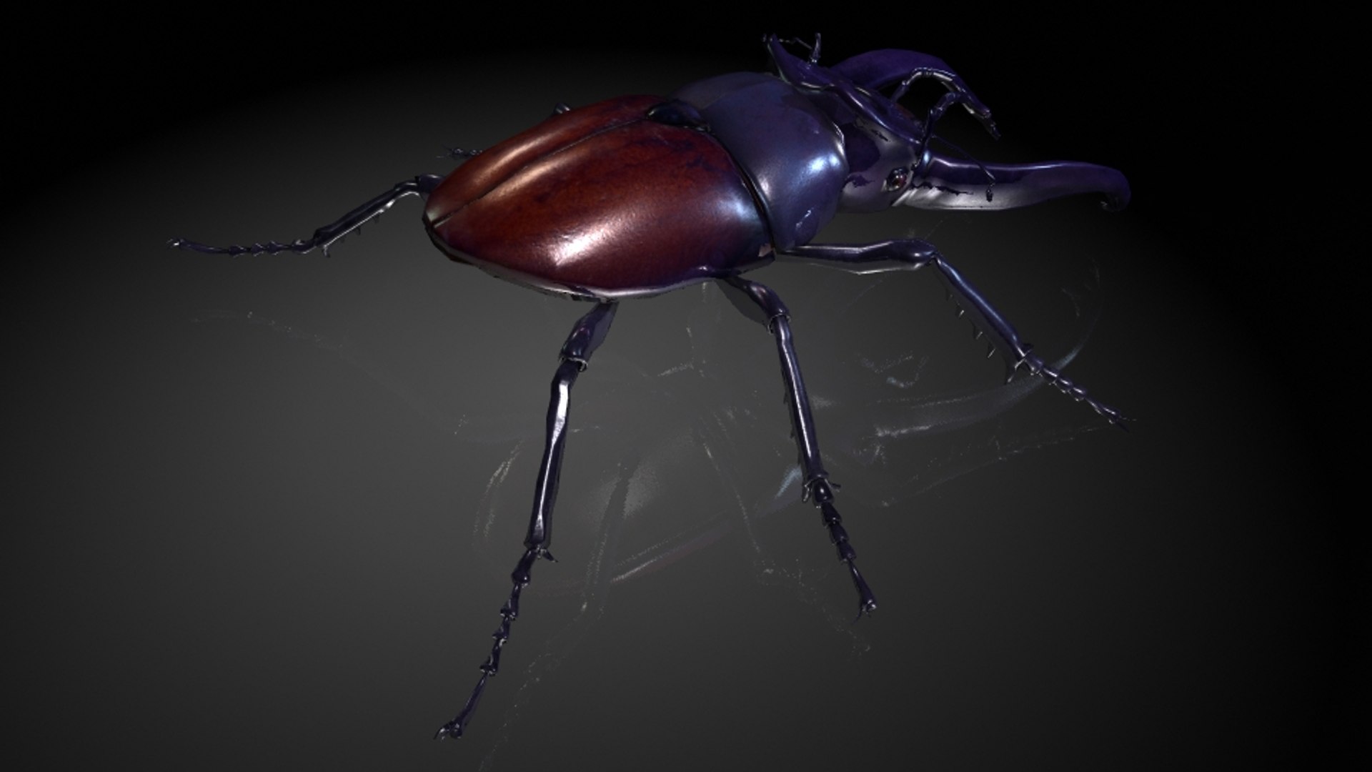 Insect Model - TurboSquid 1214280
