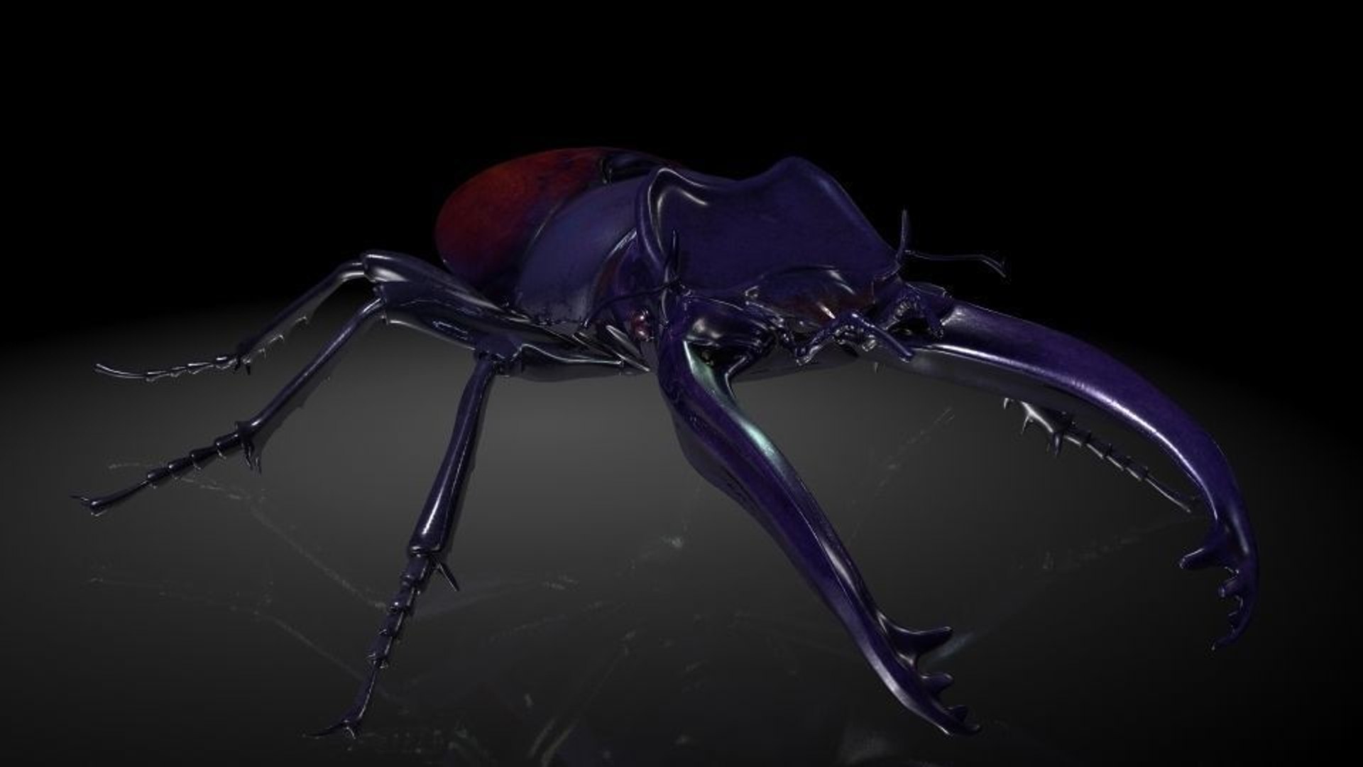 Insect Model - TurboSquid 1214280