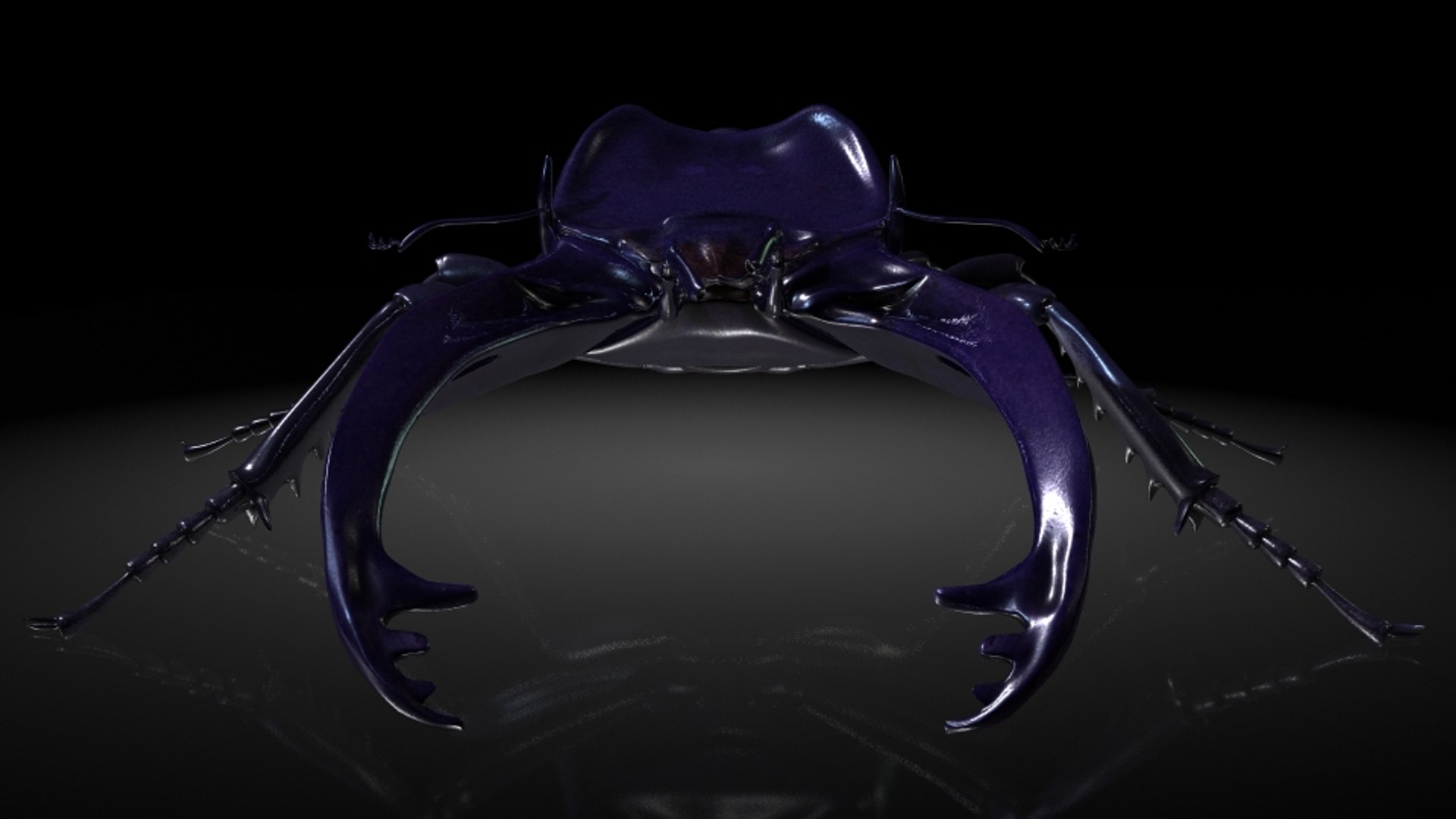 Insect Model - TurboSquid 1214280