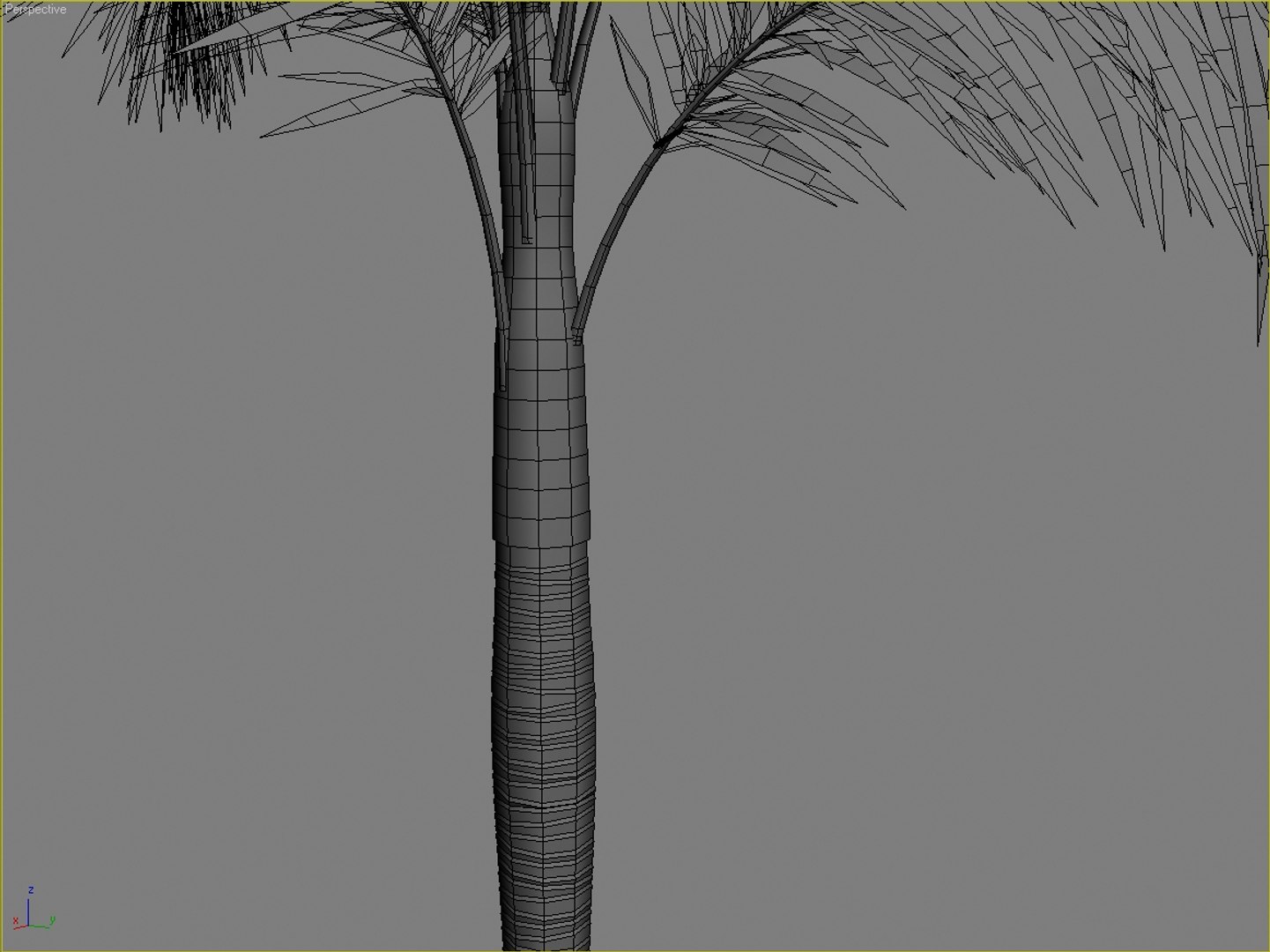 3d model palm tree