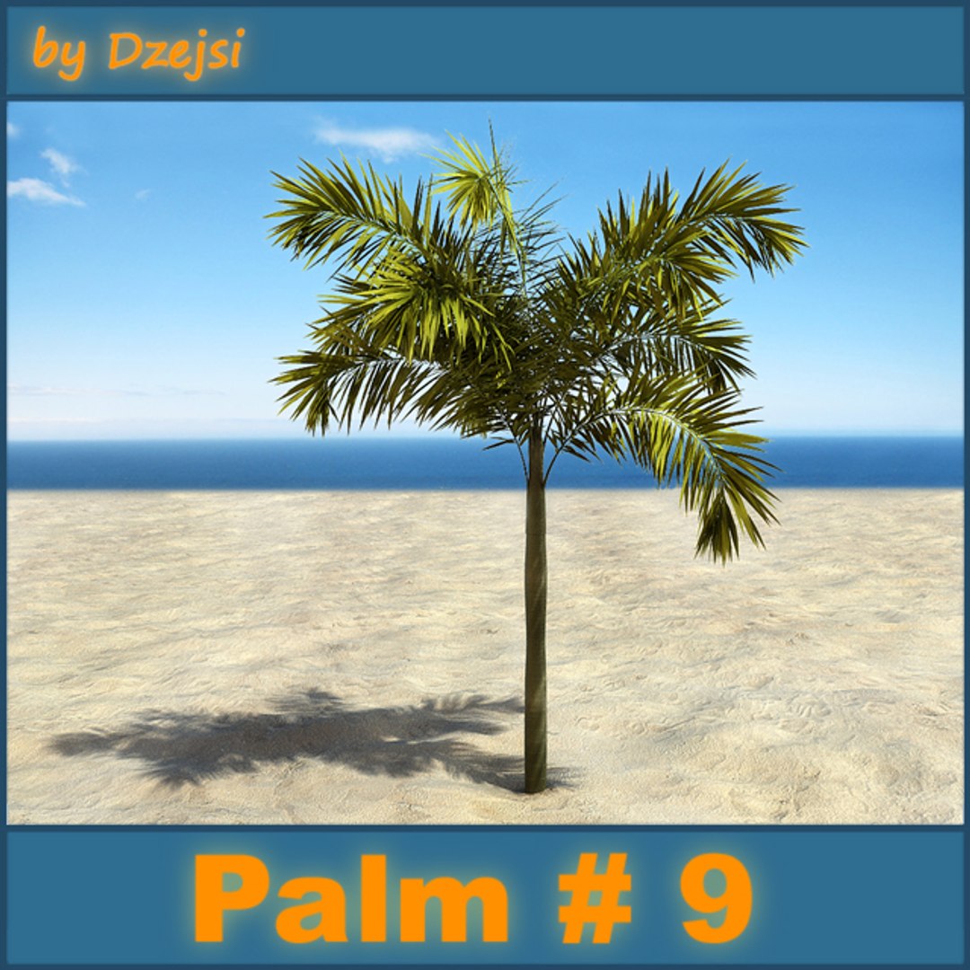 3d model palm tree