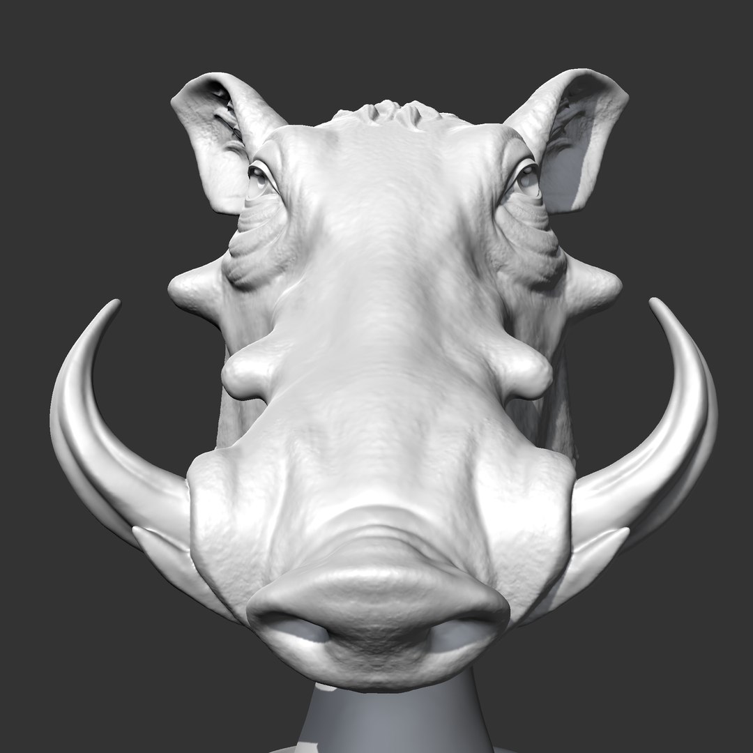 3D Model Warthog Head AM20 3D Print Model - TurboSquid 2096991