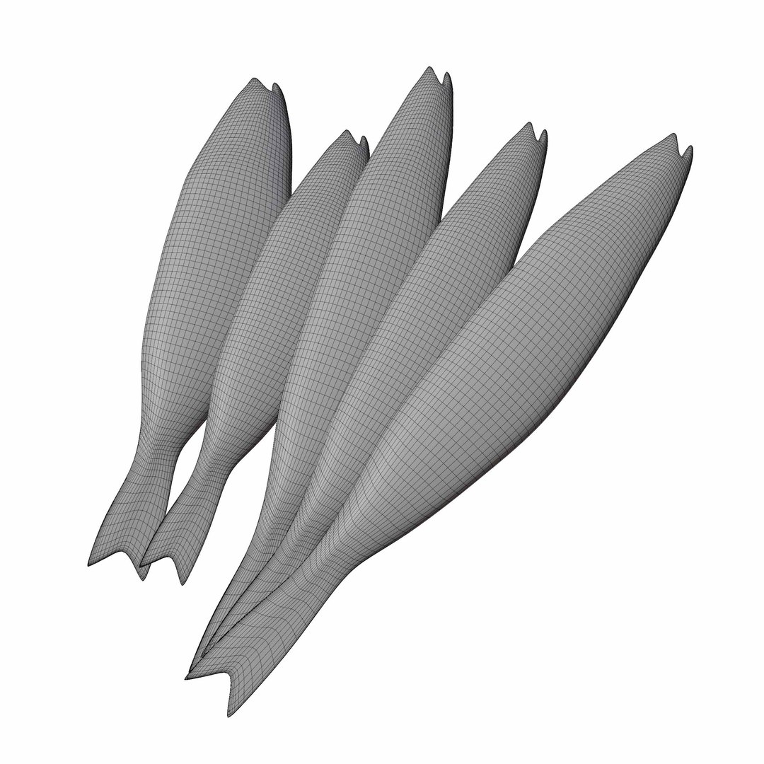 3D Seabass Fish - TurboSquid 2477709
