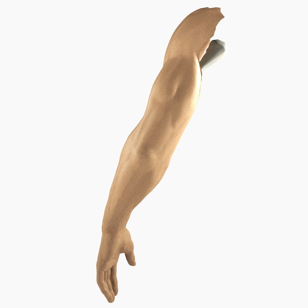 3D male arm model - TurboSquid 1313188