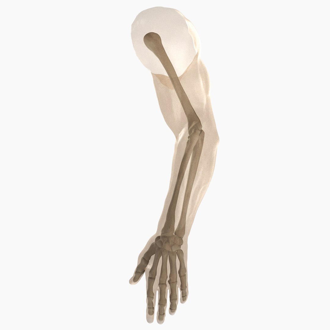 3D male arm model - TurboSquid 1313188