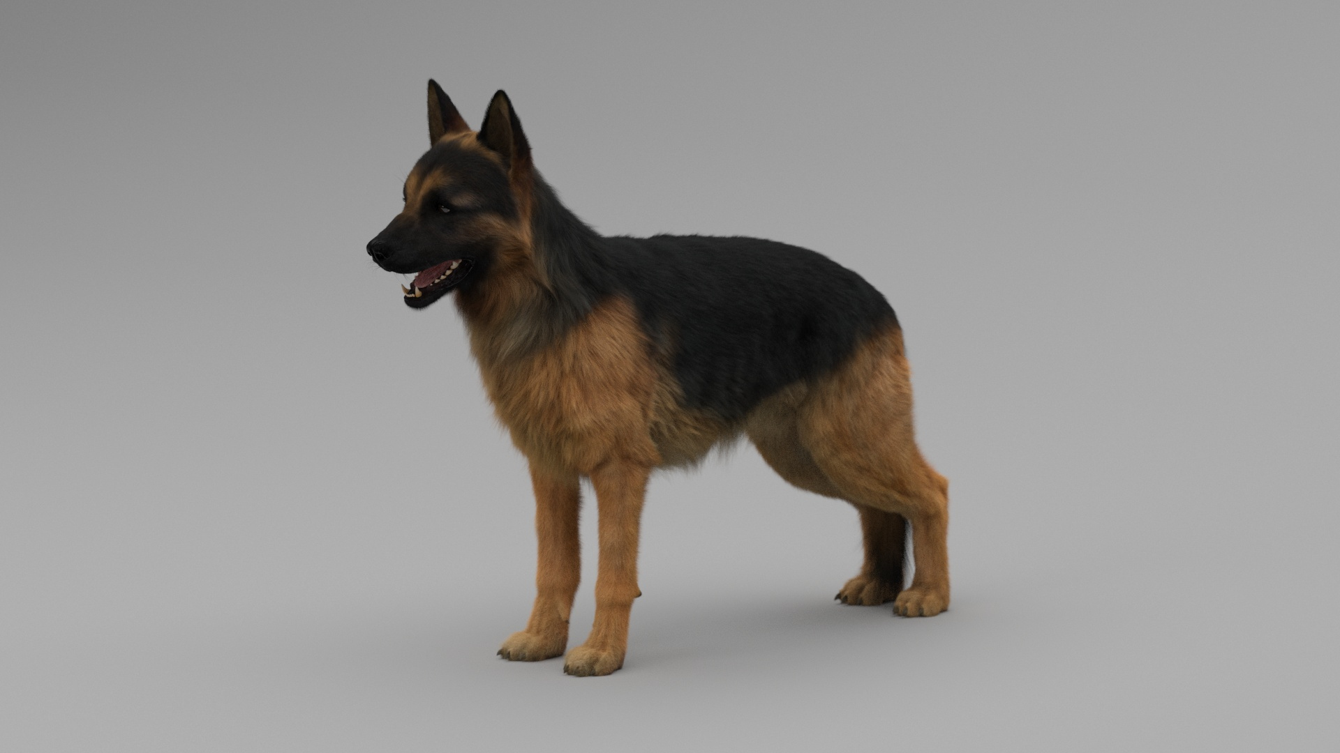 Dog German Shepherd 3D Model - TurboSquid 1442244