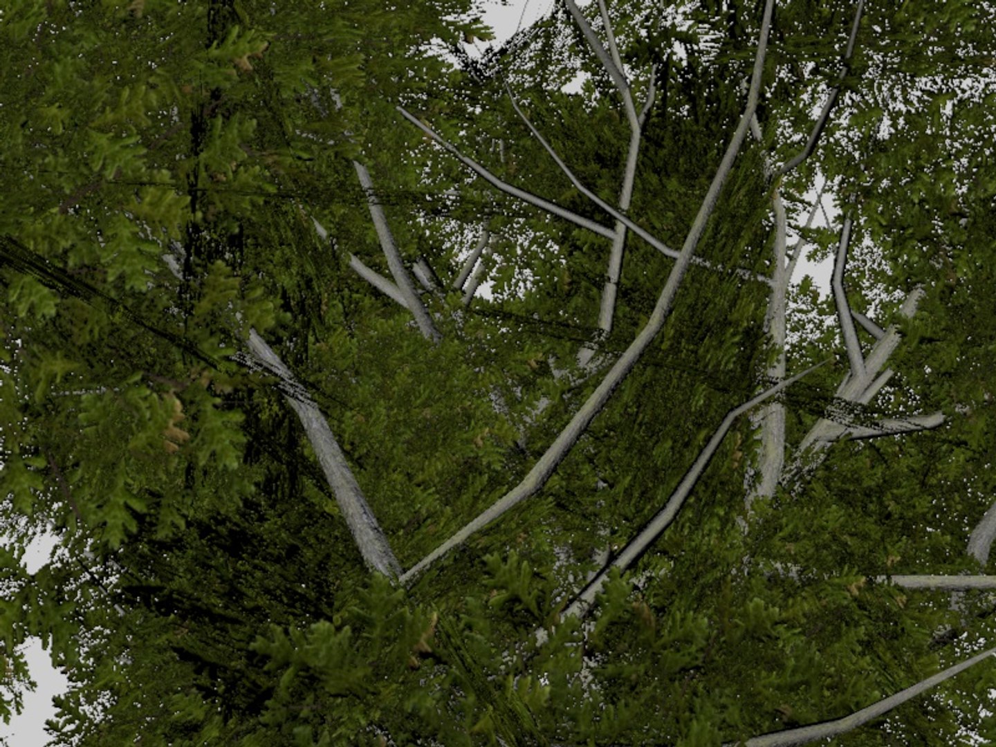 3d model foliage trees