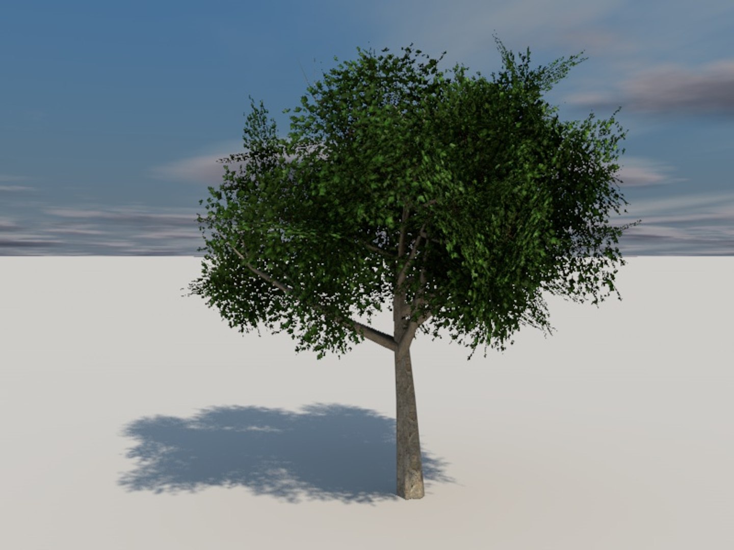 3d model foliage trees