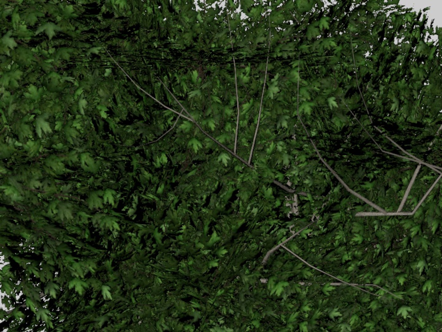 3d model foliage trees