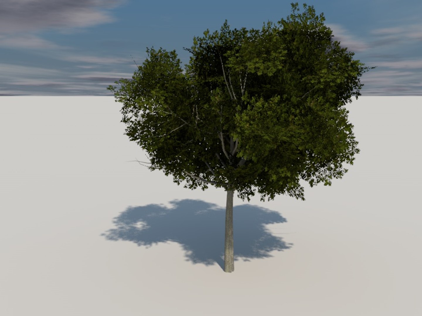 3d model foliage trees