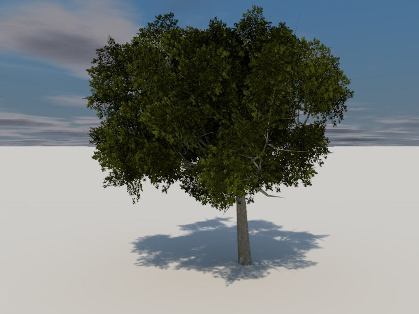 3d model foliage trees