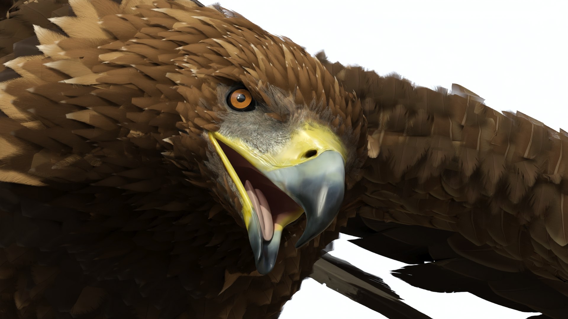 3D Aquila Chrysaetos Eagle Flying Model - TurboSquid 2249606