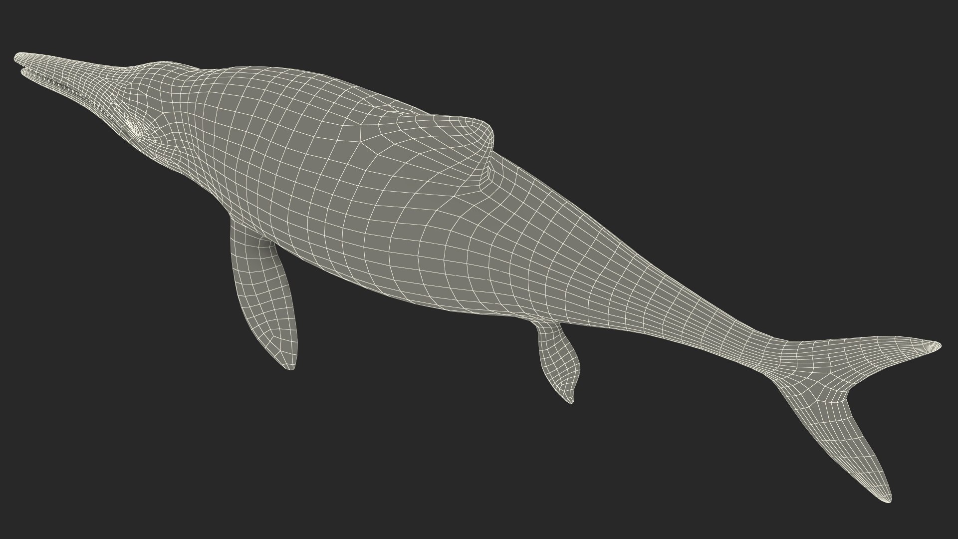 3D Ichthyosaur Model - TurboSquid 2091391