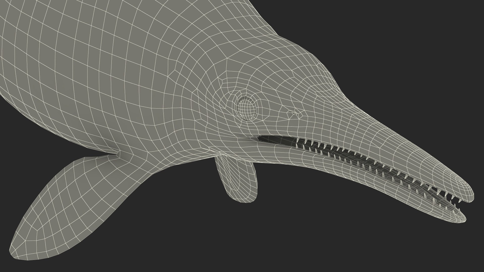 3D Ichthyosaur Model - TurboSquid 2091391