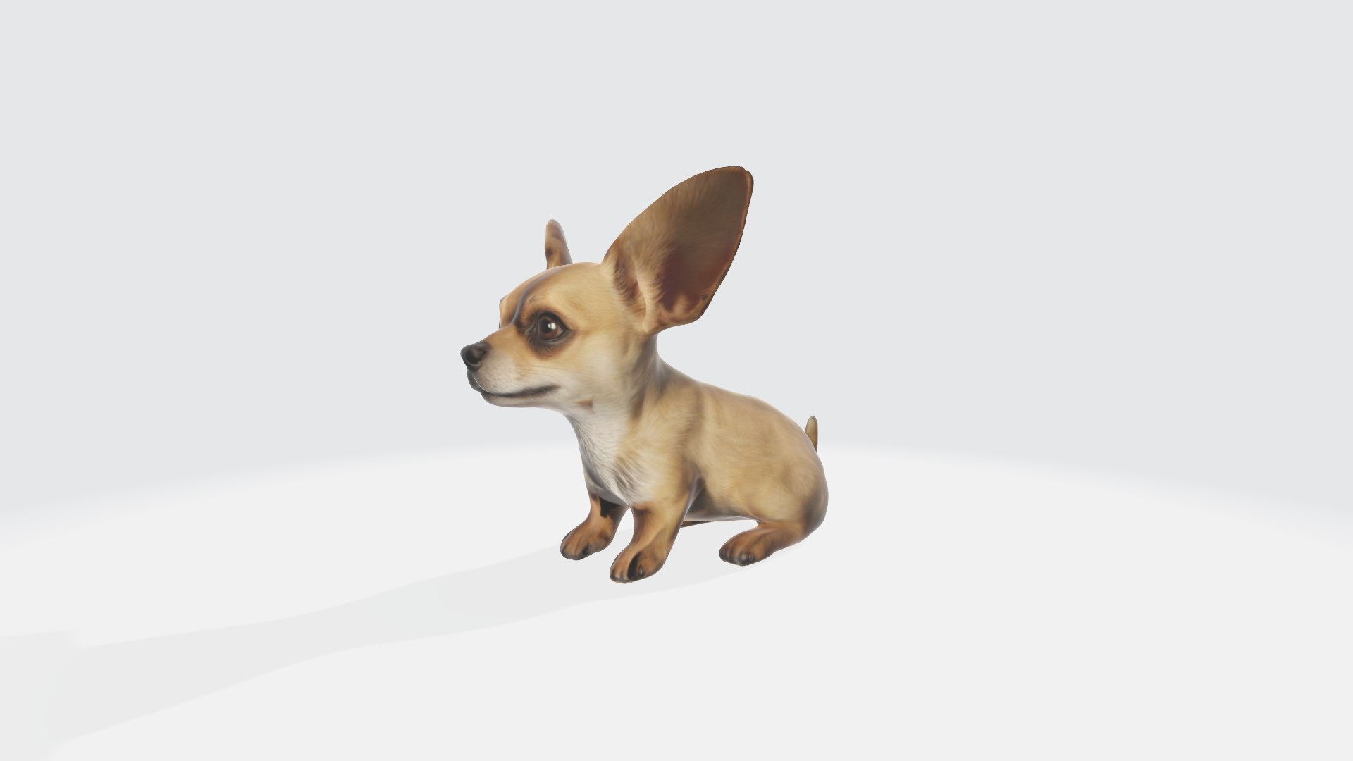 3D Chihuahua Dog 3d Model High Resolution - TurboSquid 2351644