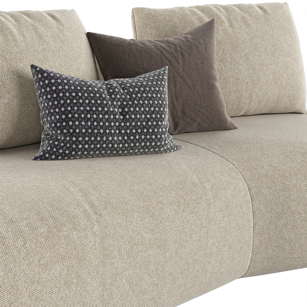 Angled Sofa LXR29 Naila By Leolux Lx 3D Model - TurboSquid 2158429