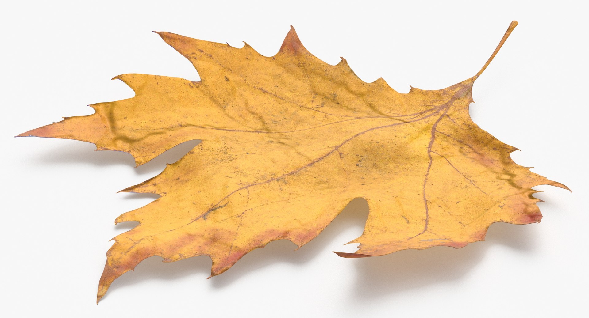 3D Prop Autumn Leaves Type 10 - TurboSquid 2151113