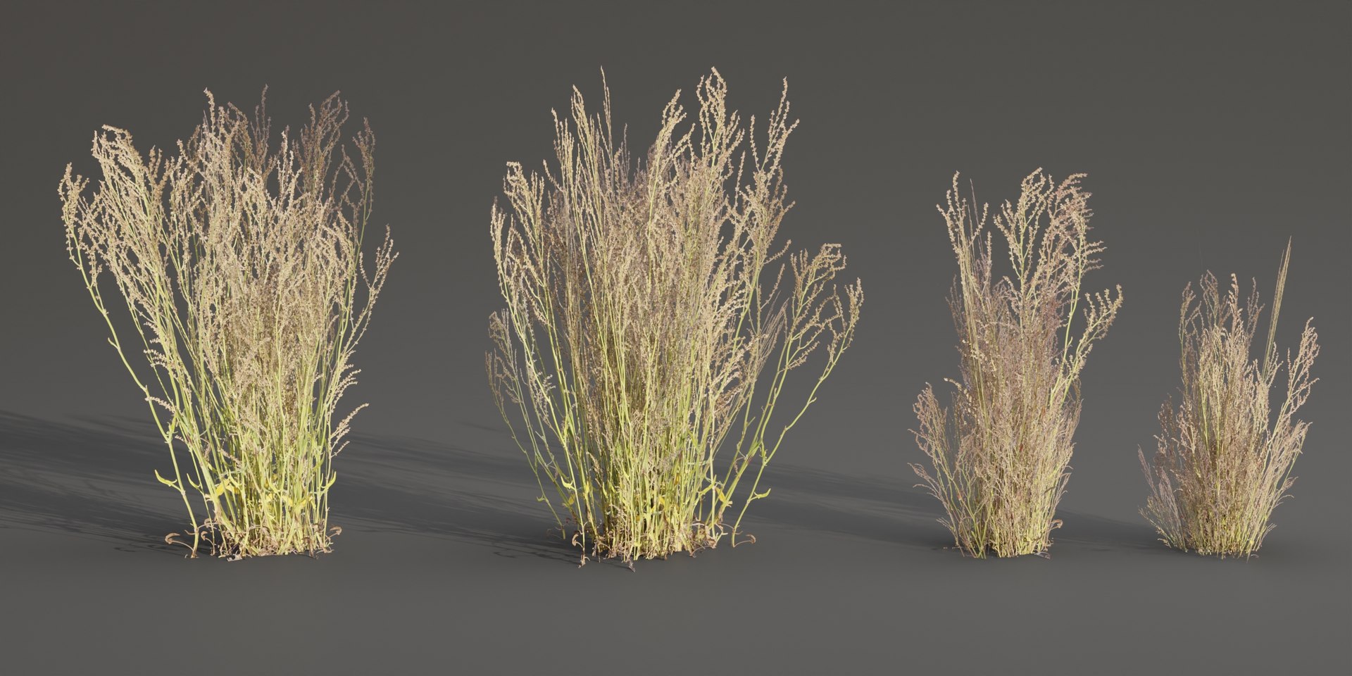 3D Model Low Poly Wild Grass Collection Vol 201-Blender-3dmodel ...