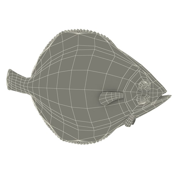 3d model fishs v3