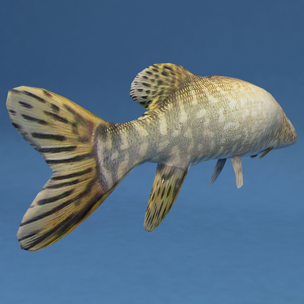 3d model fishs v3