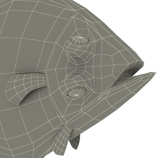3d model fishs v3