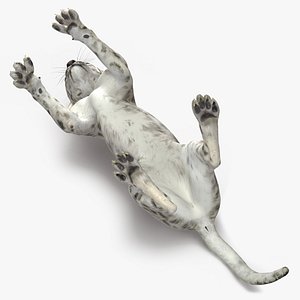 Animated 3D Snow Covered Models For Download | TurboSquid