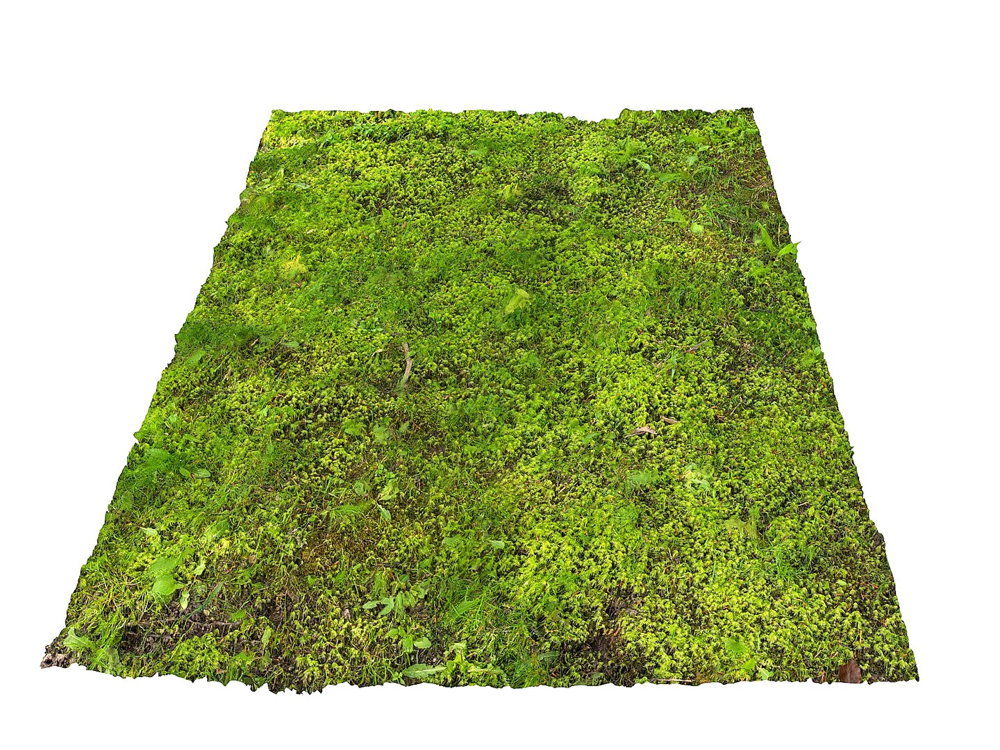 3d model forest ground 16k hd