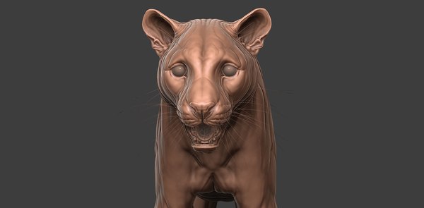 Fully Detailed Clouded Leopard Zbrush Sculpt 3D - TurboSquid 1848444