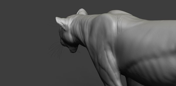 Fully Detailed Clouded Leopard Zbrush Sculpt 3D - TurboSquid 1848444