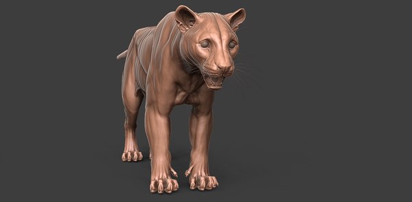 Fully Detailed Clouded Leopard Zbrush Sculpt 3D - TurboSquid 1848444
