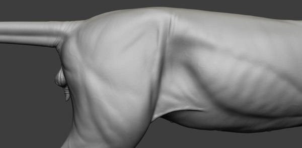 Fully Detailed Clouded Leopard Zbrush Sculpt 3D - TurboSquid 1848444