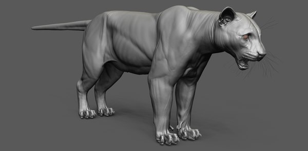 Fully Detailed Clouded Leopard Zbrush Sculpt 3D - TurboSquid 1848444