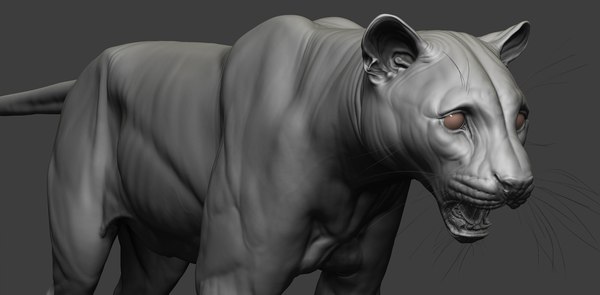 Fully Detailed Clouded Leopard Zbrush Sculpt 3D - TurboSquid 1848444