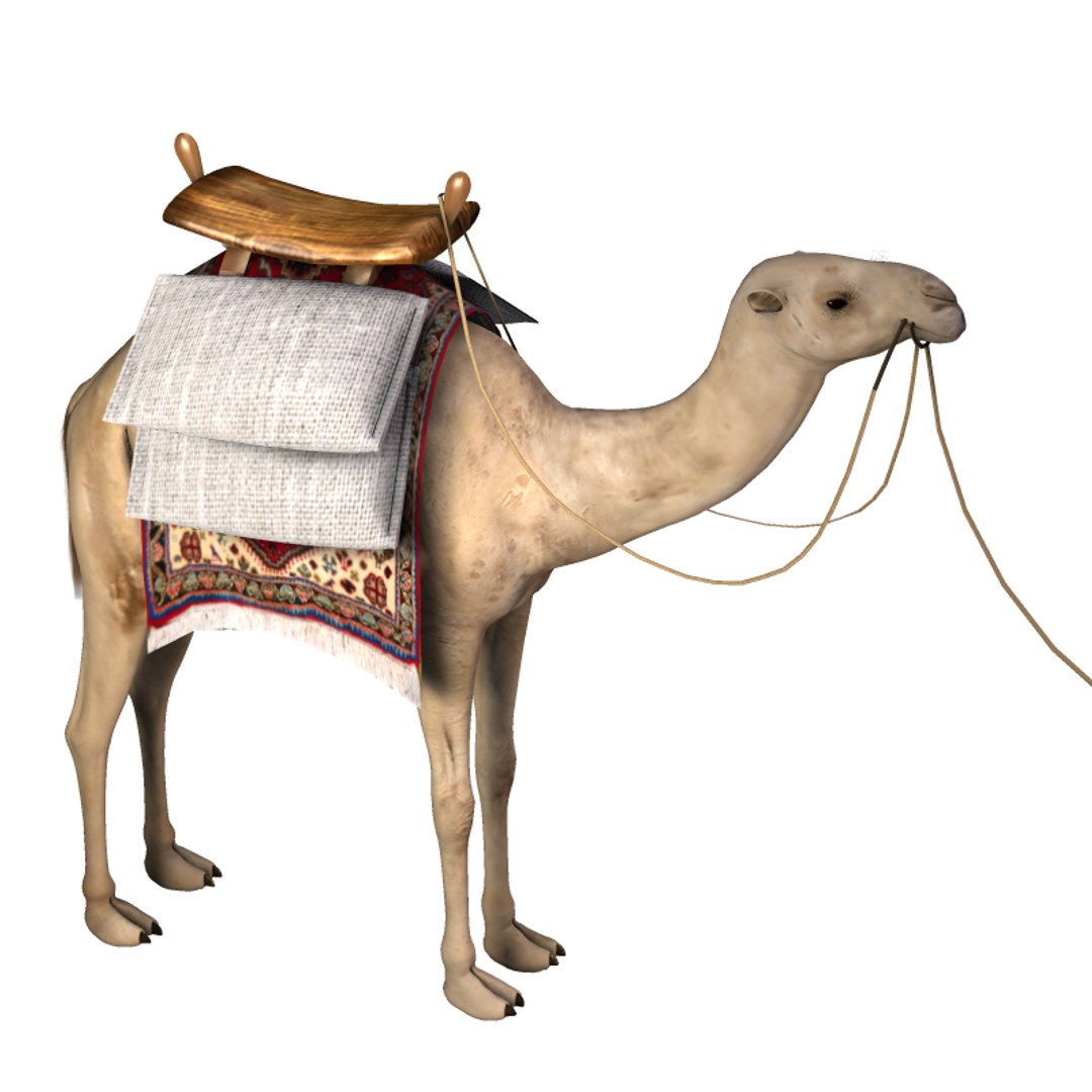 Saddle Bag Prop 3d Pz3