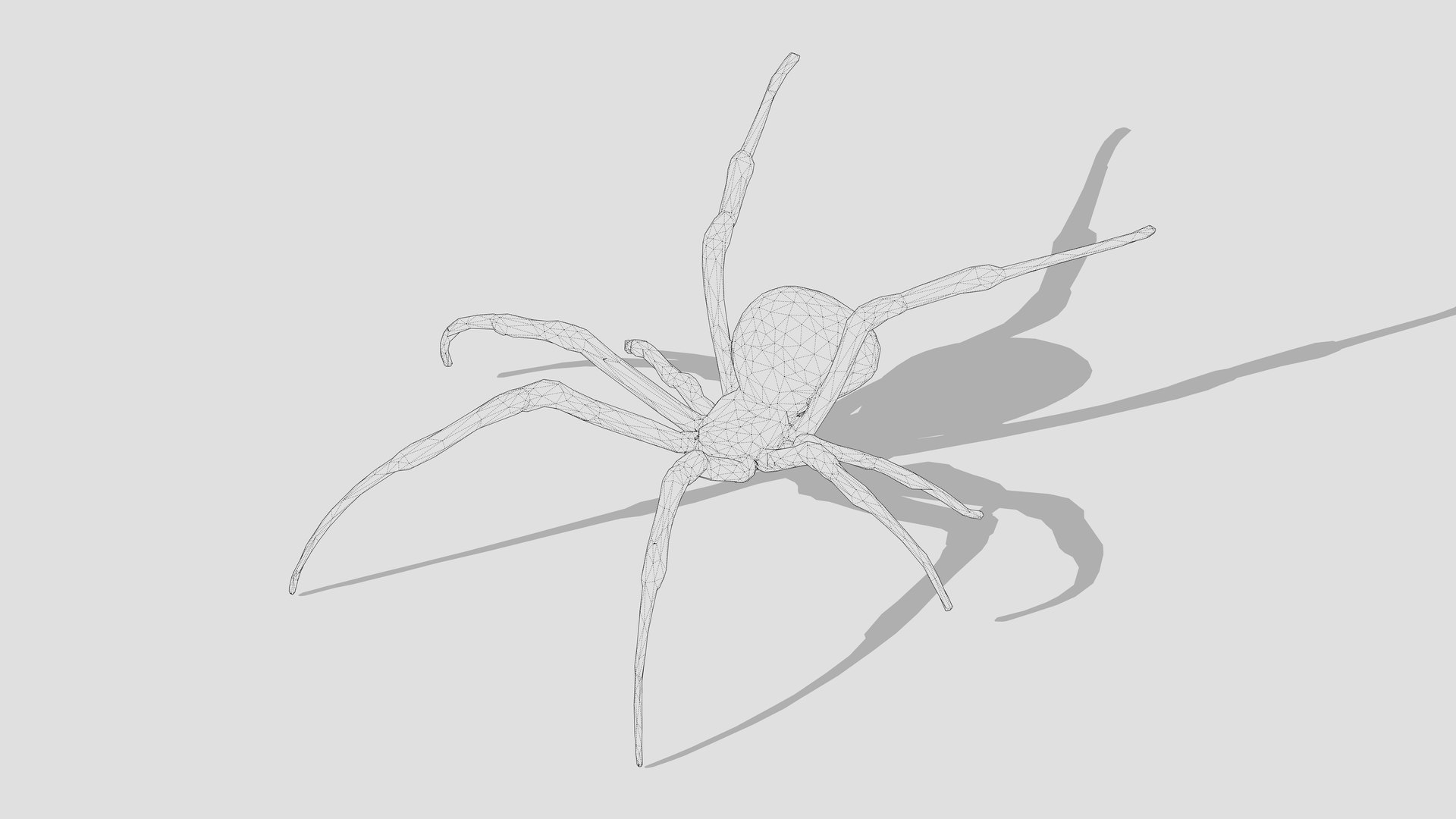 3D Spider - TurboSquid 2404850
